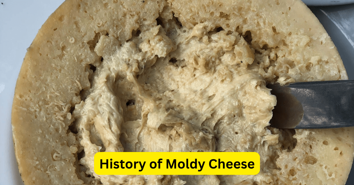 National Moldy Cheese Day: A Guide to the Cheesiest Holiday | Local ...