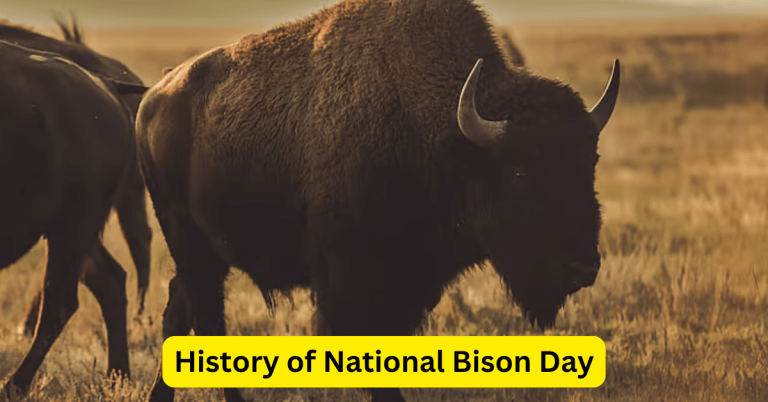 National Bison Day: Facts, Fun, and Conservation Efforts | Local Events ...